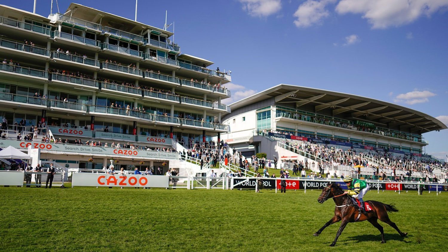 Midnights Legacy – Alne Park Stud