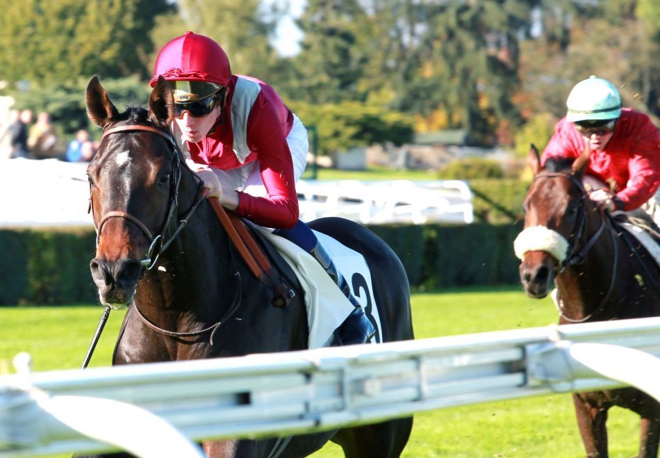 Ocovango – Alne Park Stud