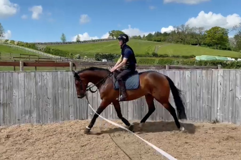 Facilities – Alne Park Stud